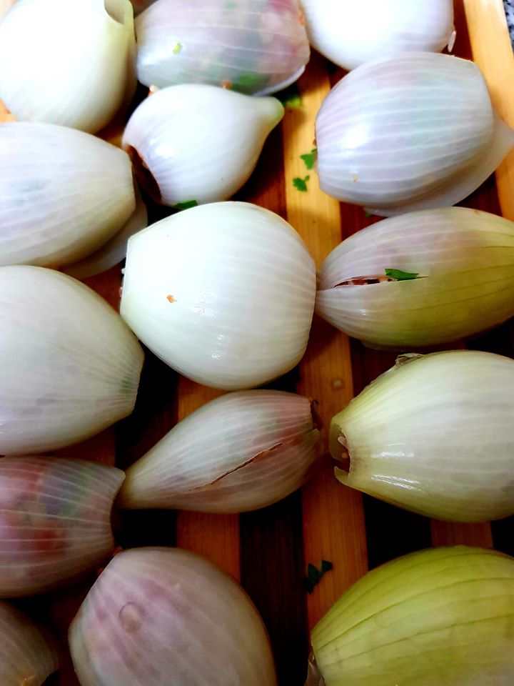 בצל ממולא - מתכונים בכל מיני צבעים - קהילת המתכונים והאוכל הגדולה בישראל